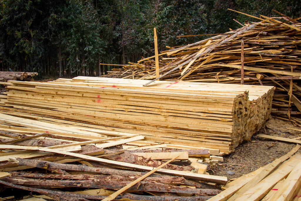 Timber In Arabic With Pronunciation | Arabic Lantern