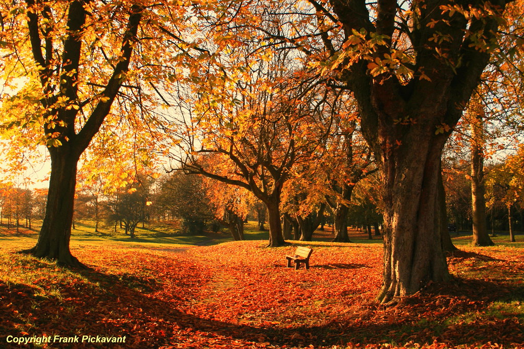 Autumn In Arabic With Pronunciation | Arabic Lantern