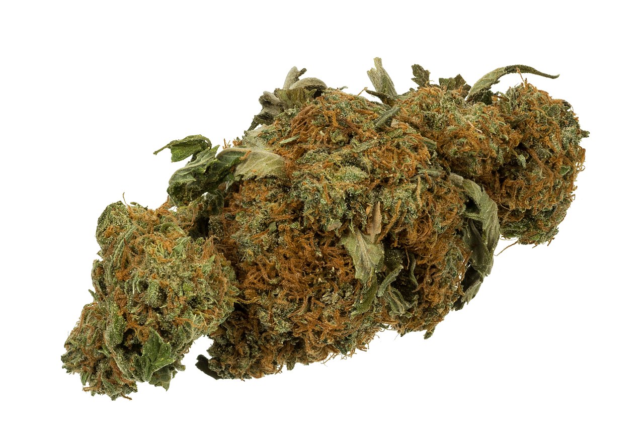 Weed In Arabic With Pronunciation | Arabic Lantern